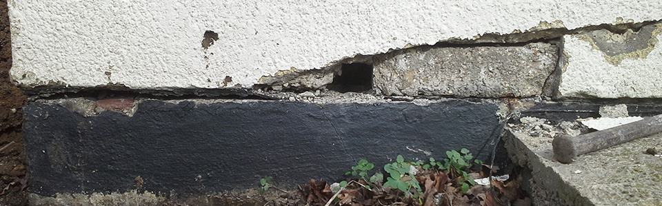Foundation Repairs | Newman's - Structural Repair Specialists